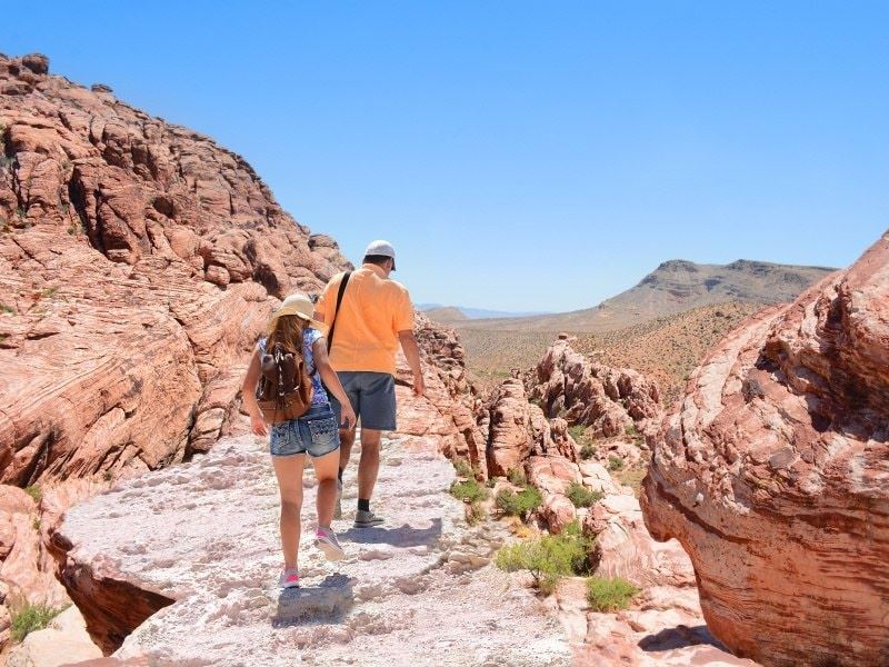 Borrego Springs Hiking Trails Guide | La Casa del Zorro